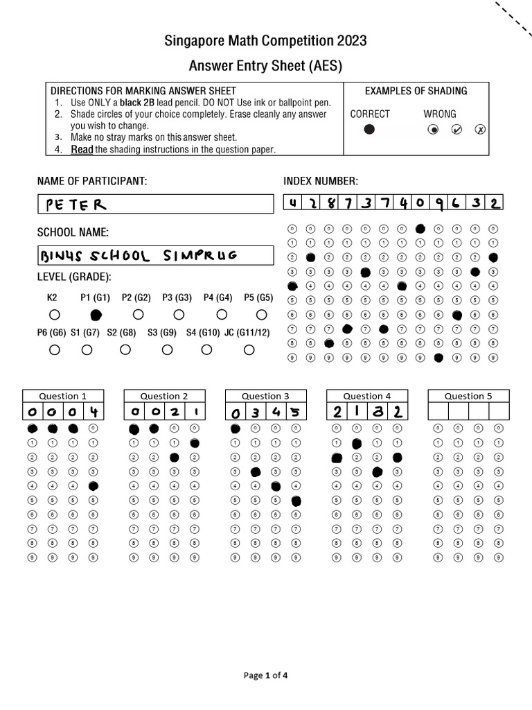 Aes SMC 2023 Sample | PDF