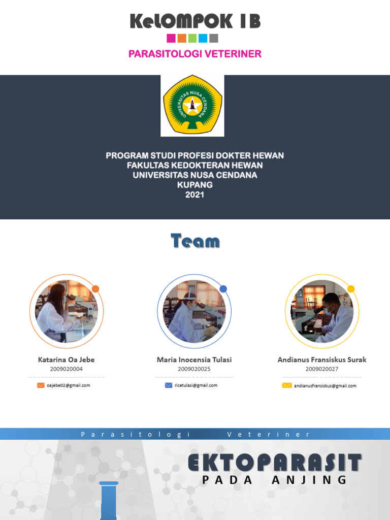 Ektoparasit Pada Anjing | PDF
