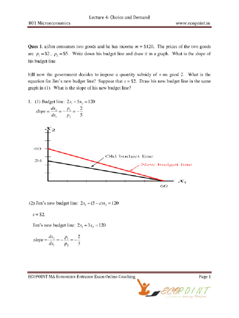 Choice and Demad Notes | PDF