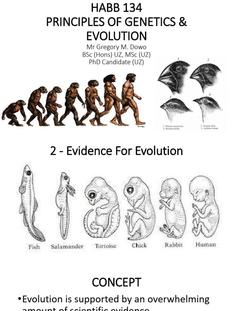 Evidence of Evolution Habb134 | PDF