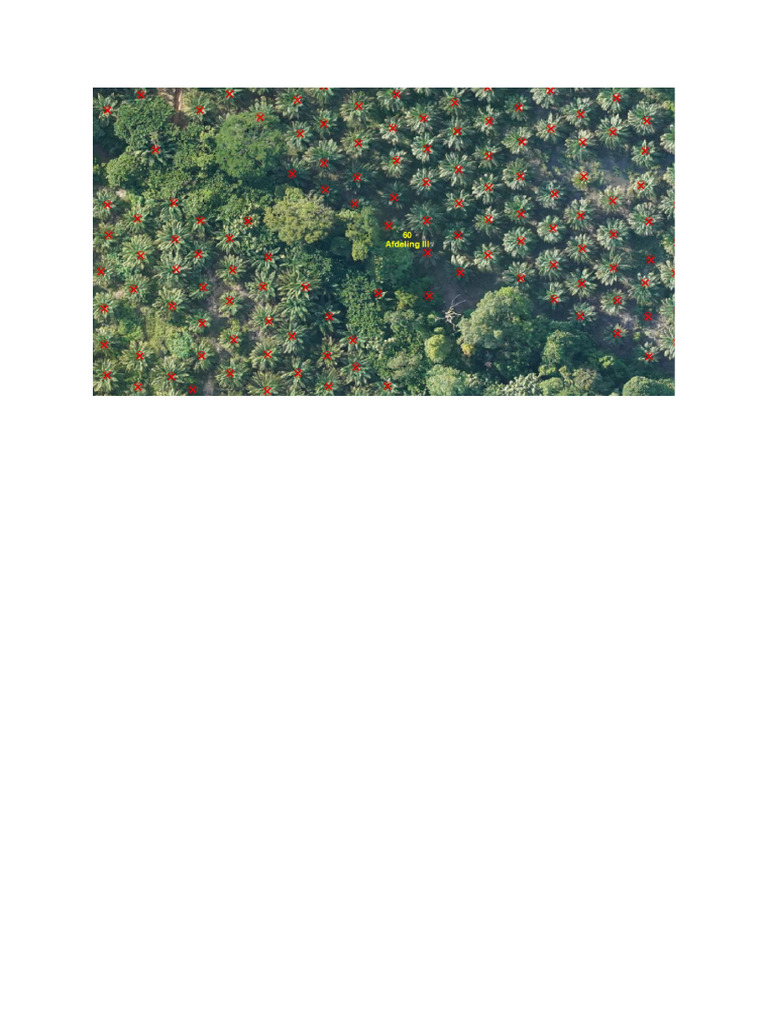 Contoh Titik Pokok Sawit | PDF