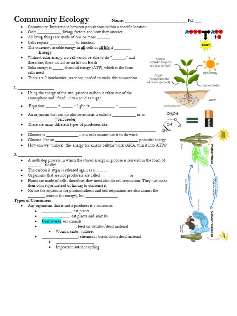 Community+Ecology Guided+Notes Blanks | PDF