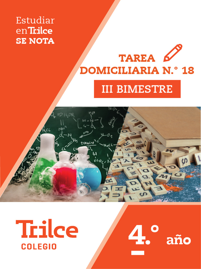4to - S18 II BIM 2024 | PDF