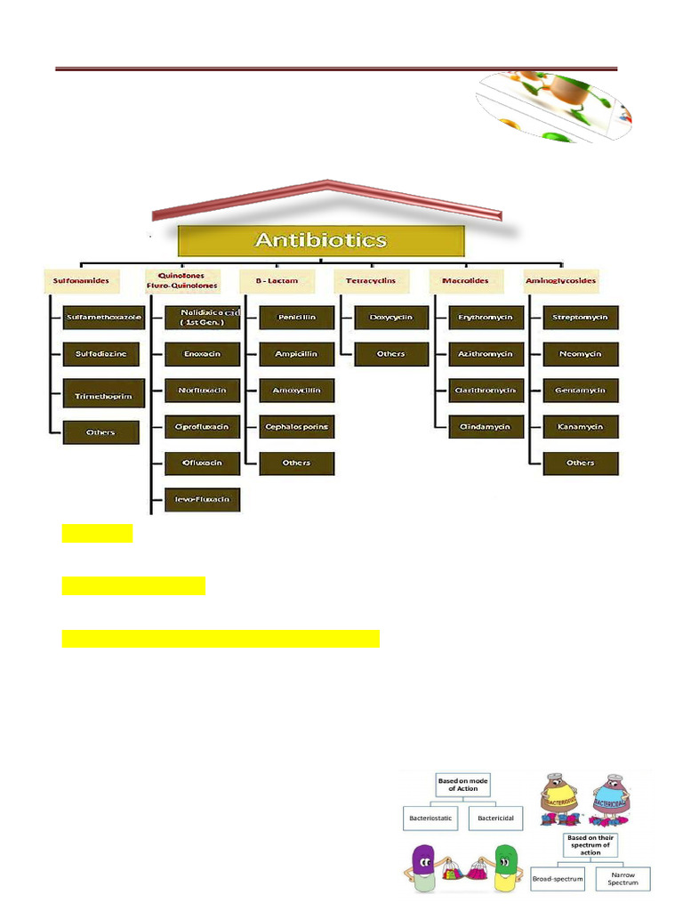 Lec7+8 - The Antibiotics | PDF