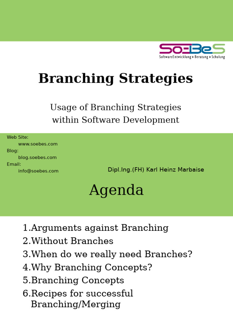 Branching Strategies | PDF