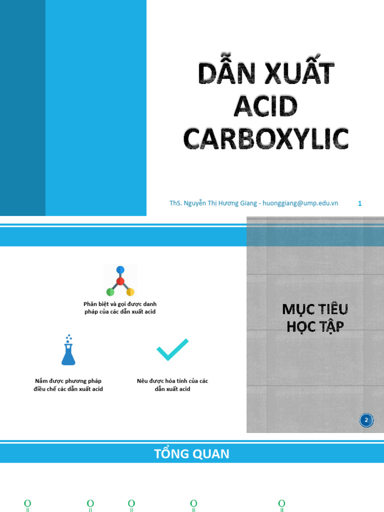 Le Nguyen Nhat Quynh Taiwan e Visa | PDF