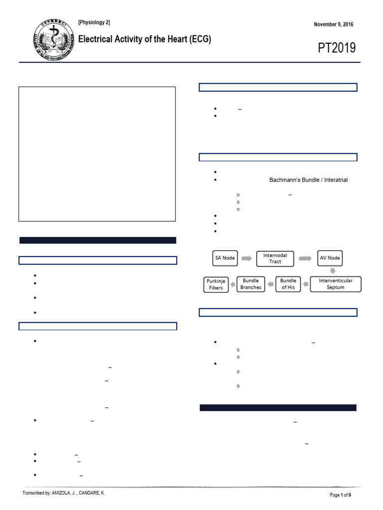 1 Physio 2 Trans Ecg 1109 | PDF