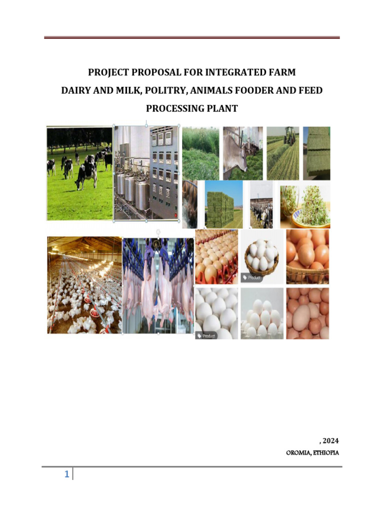 Project Proposal For Integrated Farm Ab | PDF | Milk | Dairy