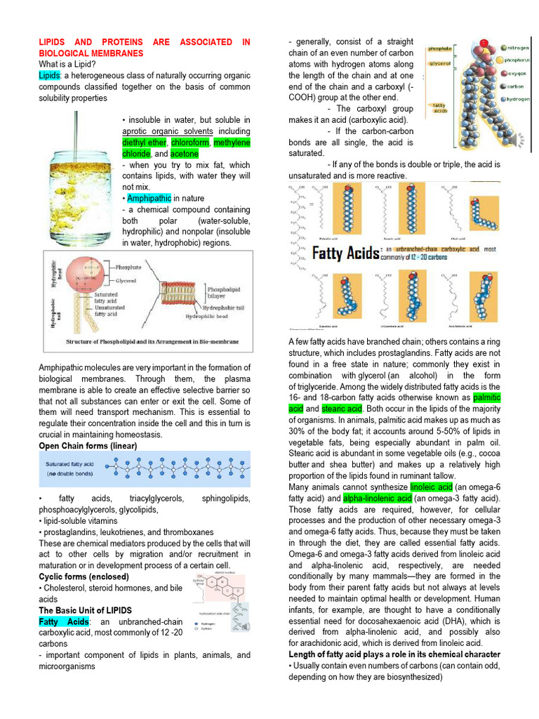 Biochemistry 11 Pdf
