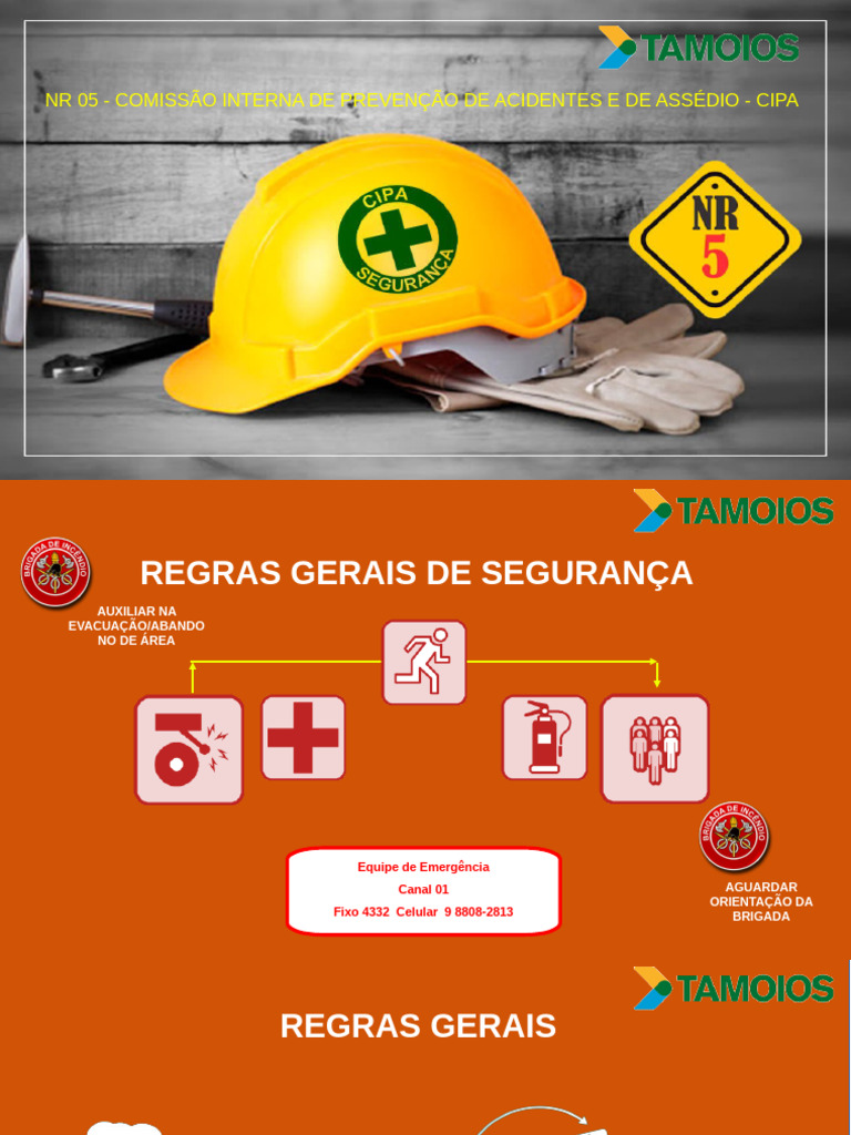 CIPA: Normas e Segurança no Trabalho | PDF
