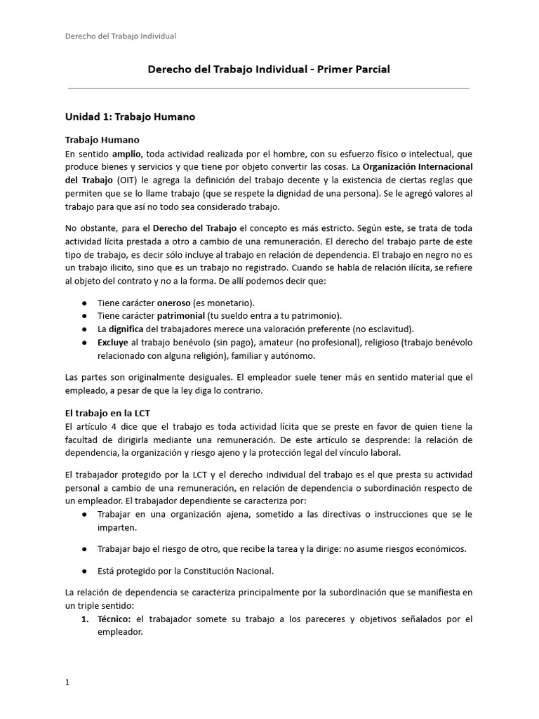 DTI - Primer Parcial | PDF
