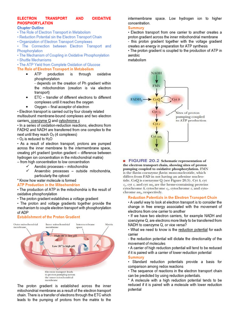 Biochemistry 9 | PDF