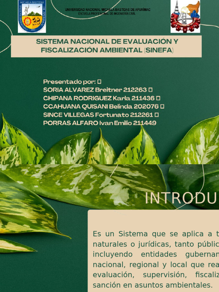 SINEFA y Fiscalizacion Ambiental | PDF
