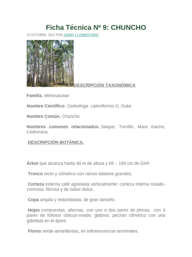 Ficha Técnica CHUNCHO | PDF