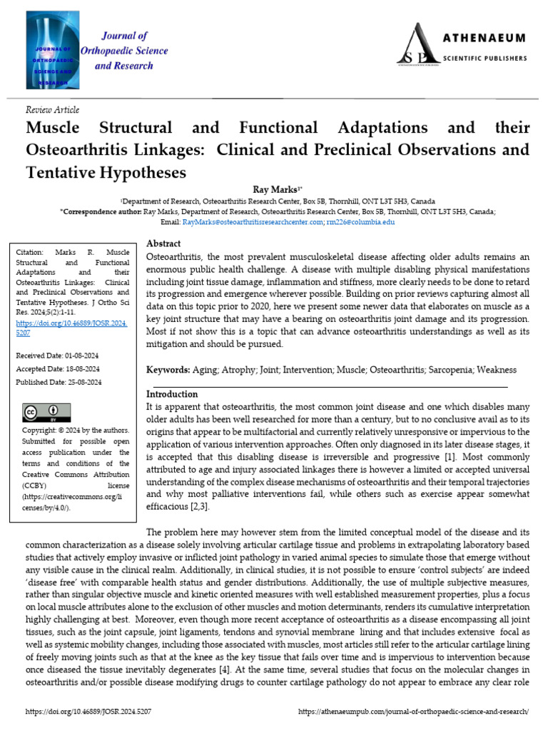 Outcomes Of A Novel Modular Porous Acetabular Shell In Revision Total Hip Arthroplasty Pdf