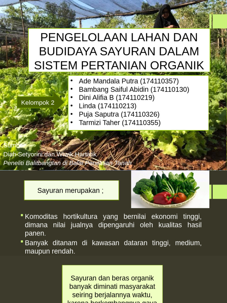 Kelompok 2 Pengelolaan Lahan Dan Budidaya Sayuran Dalam Sistem Pertanian Organik | PDF