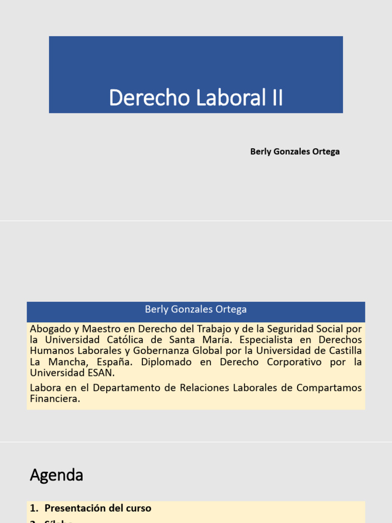 Derecho Laboral II - DLC | PDF