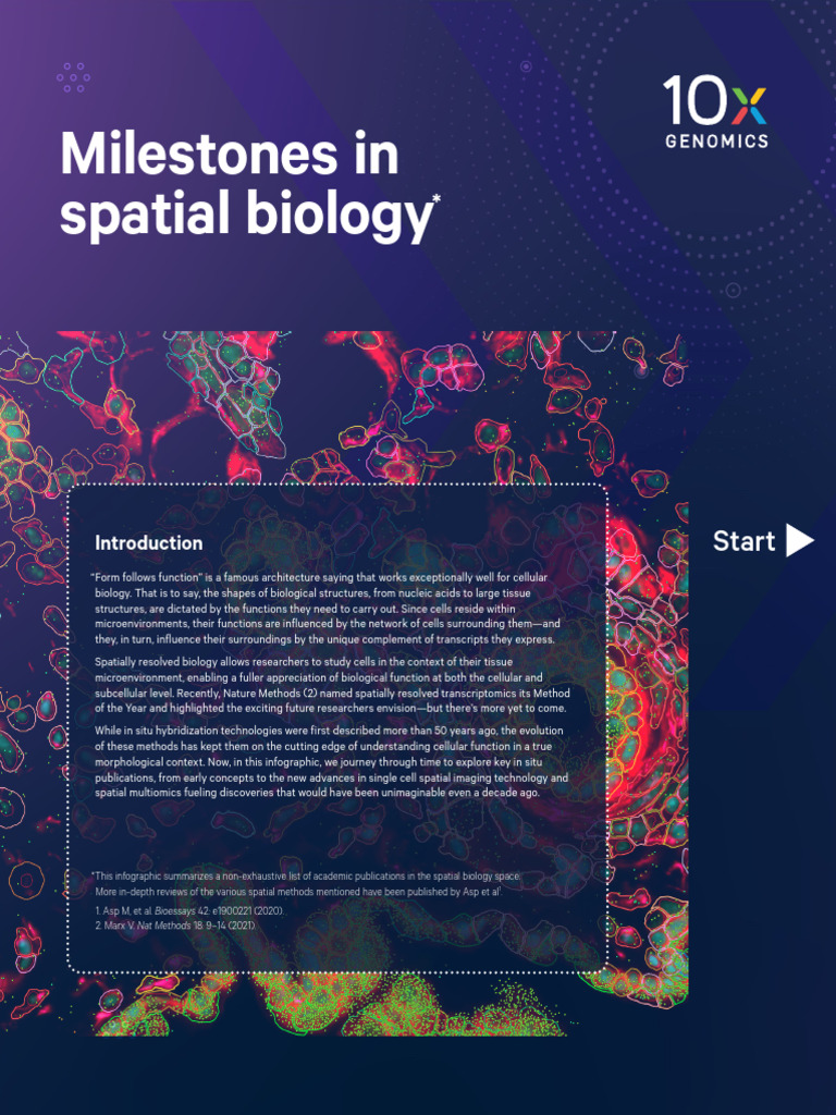 10x LIT000167 FFPE Infographic Compresso | PDF