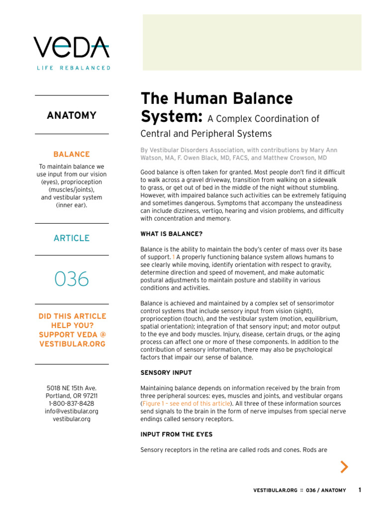 Human Balance System 36 | PDF