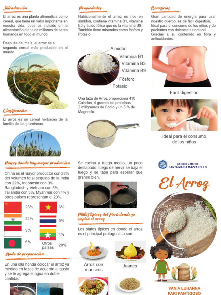 Triptico Arroz | PDF