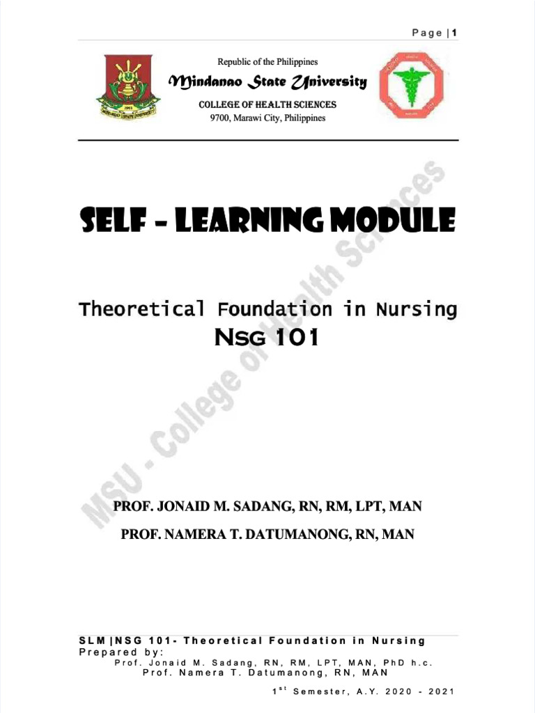 Theoretical Foundation in Nursing 1 | PDF