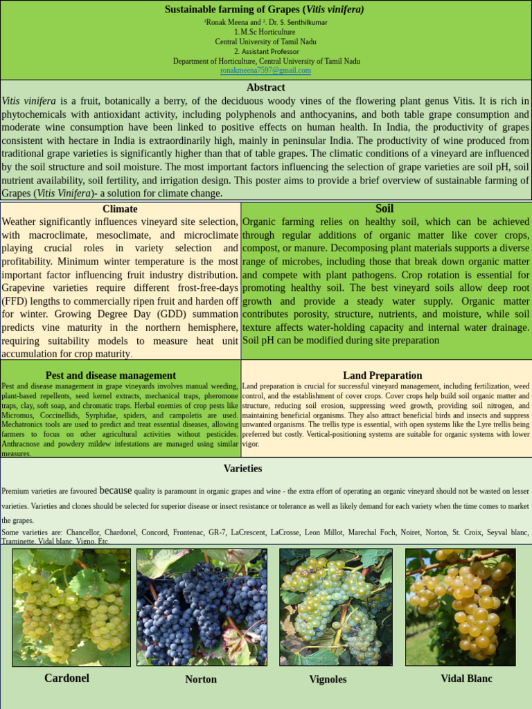 Poster - Grape | PDF