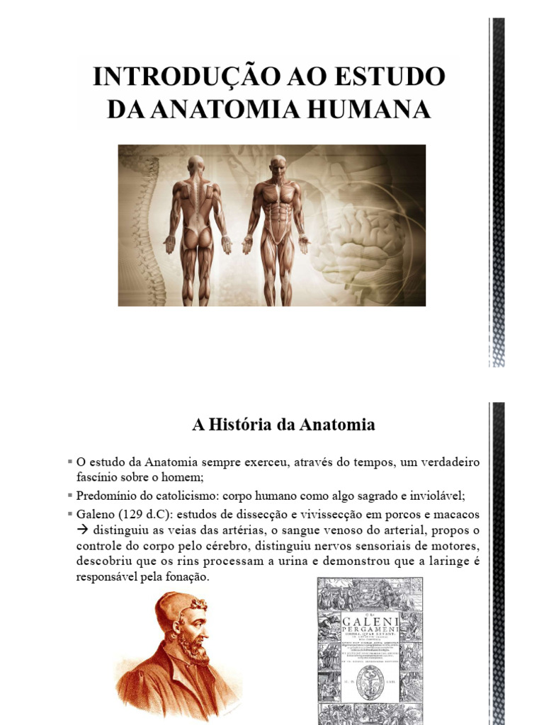 Anatomia Pdf