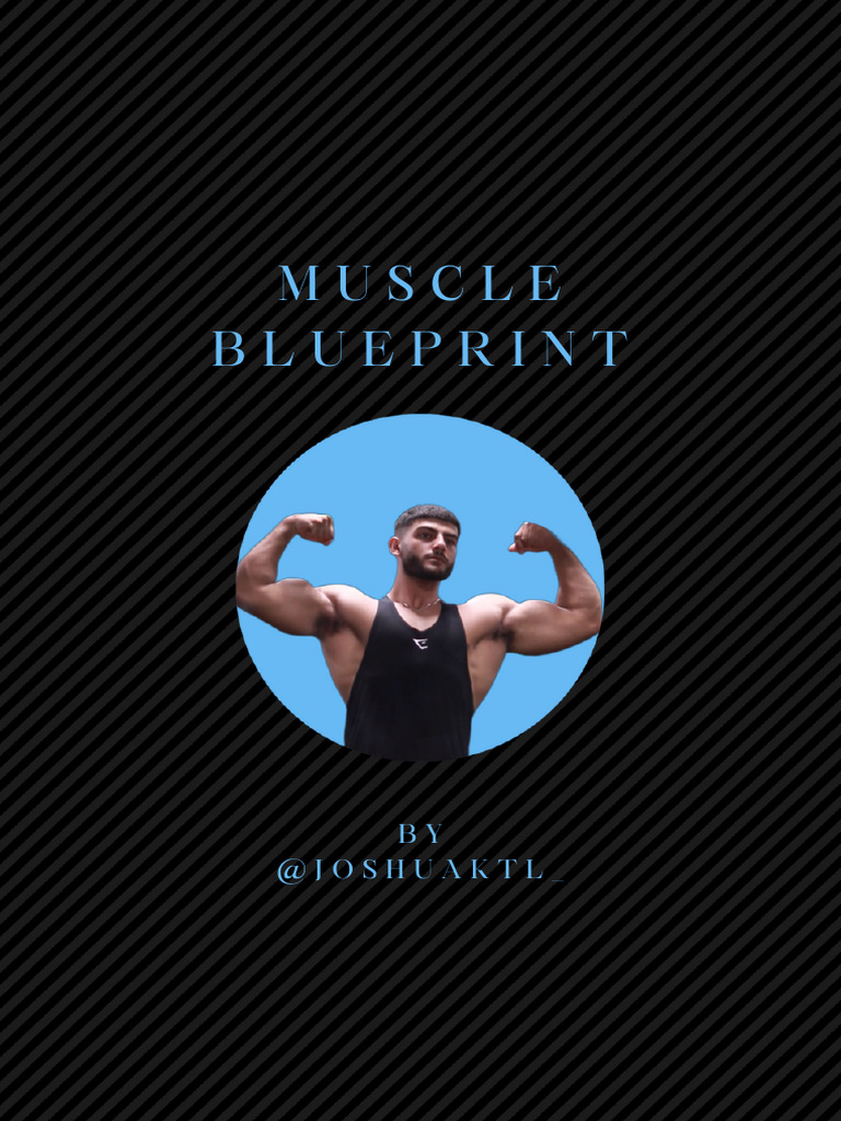 Muscle Blueprint | PDF