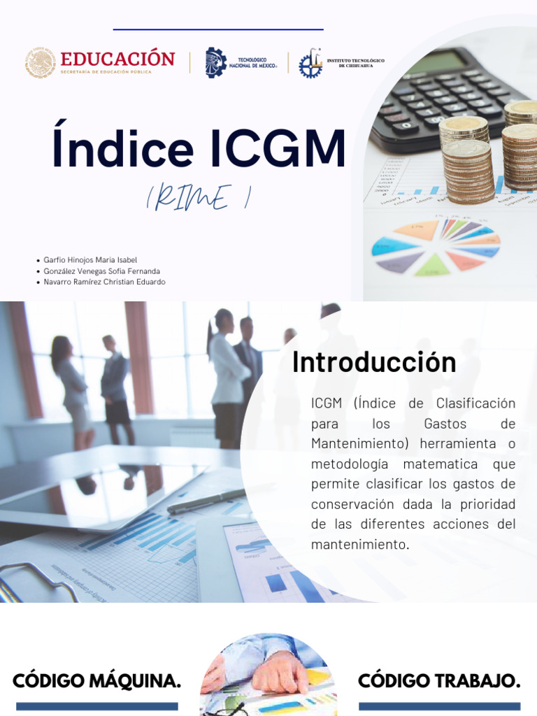 ICGM | PDF