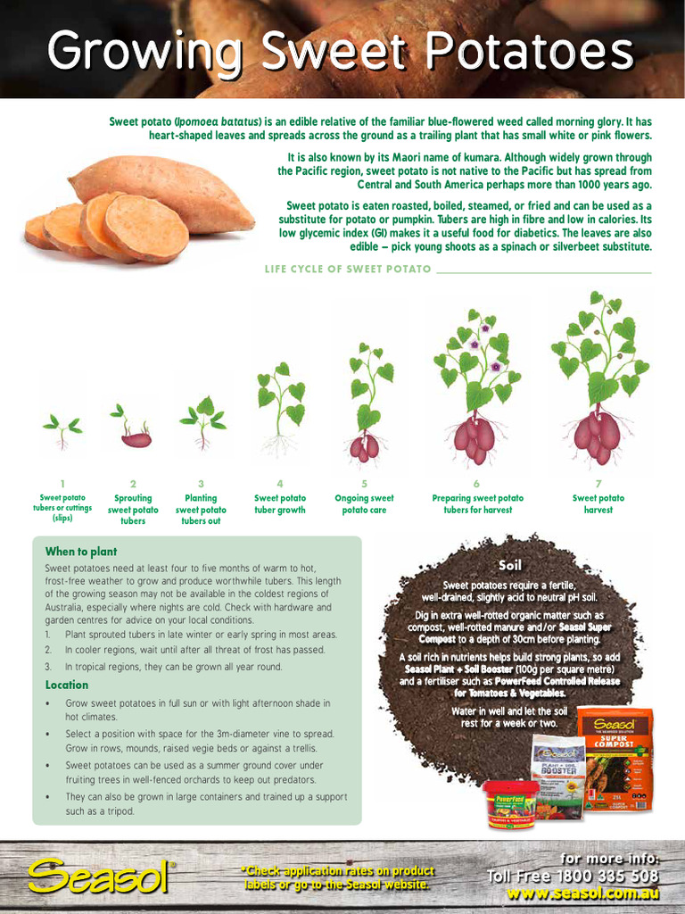 How To Grow Vegetables Sweet Potatoes | PDF