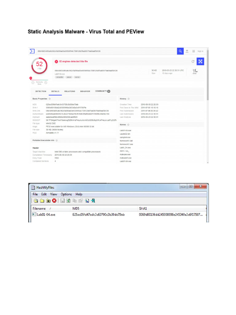 Static Analysis Malware - Virus Total and PEView | PDF