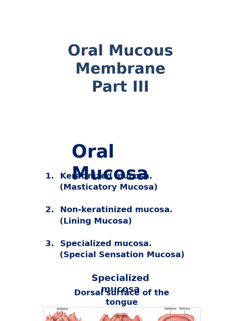 Oral Mucous Membrane Part III | PDF