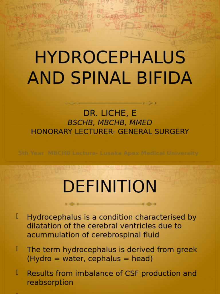 Hydrocephalus and Spinal Bifida | PDF