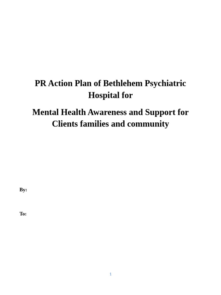 PR Action Plan Final | PDF