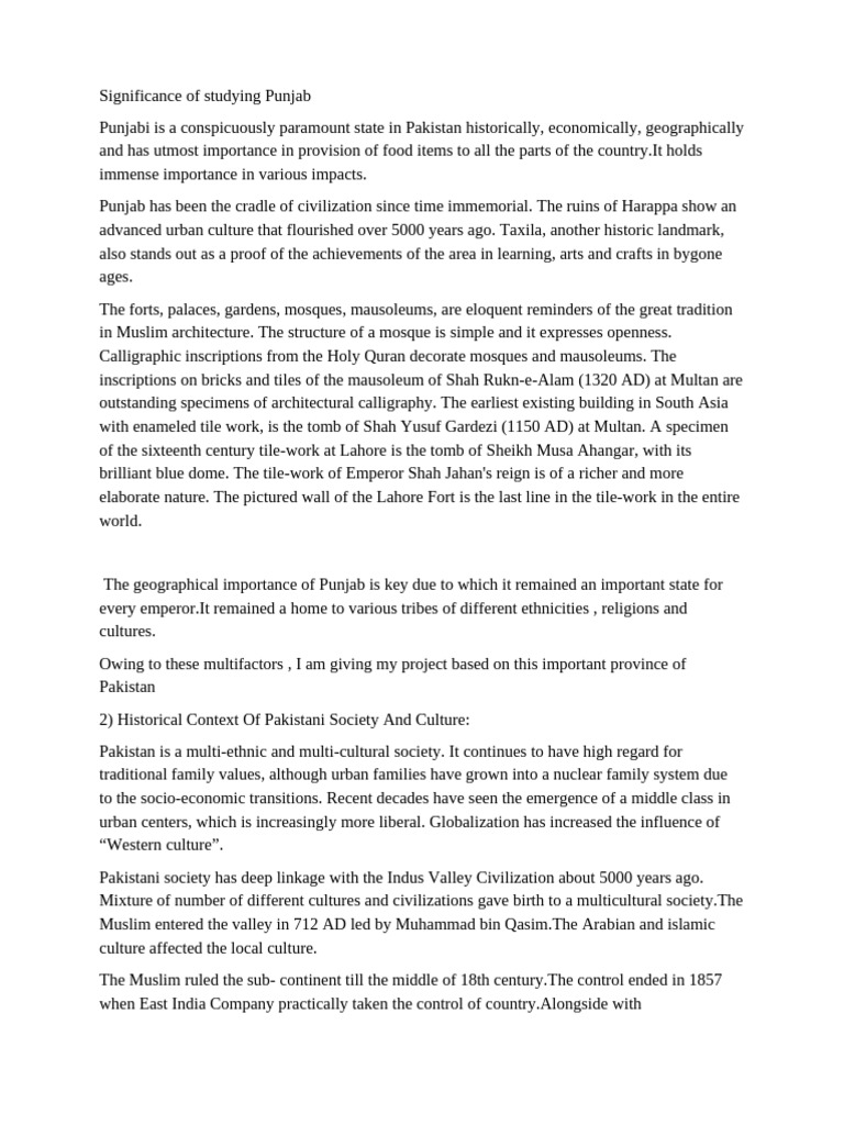 Punjab Project Ali Adnan Haider -1 | PDF