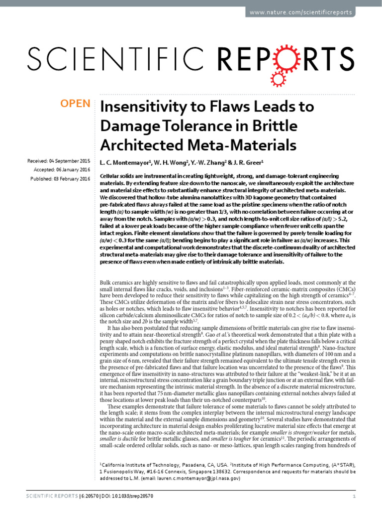 Flaws Insensitivity Metamaterials - Scientific Reports - 2015 | PDF
