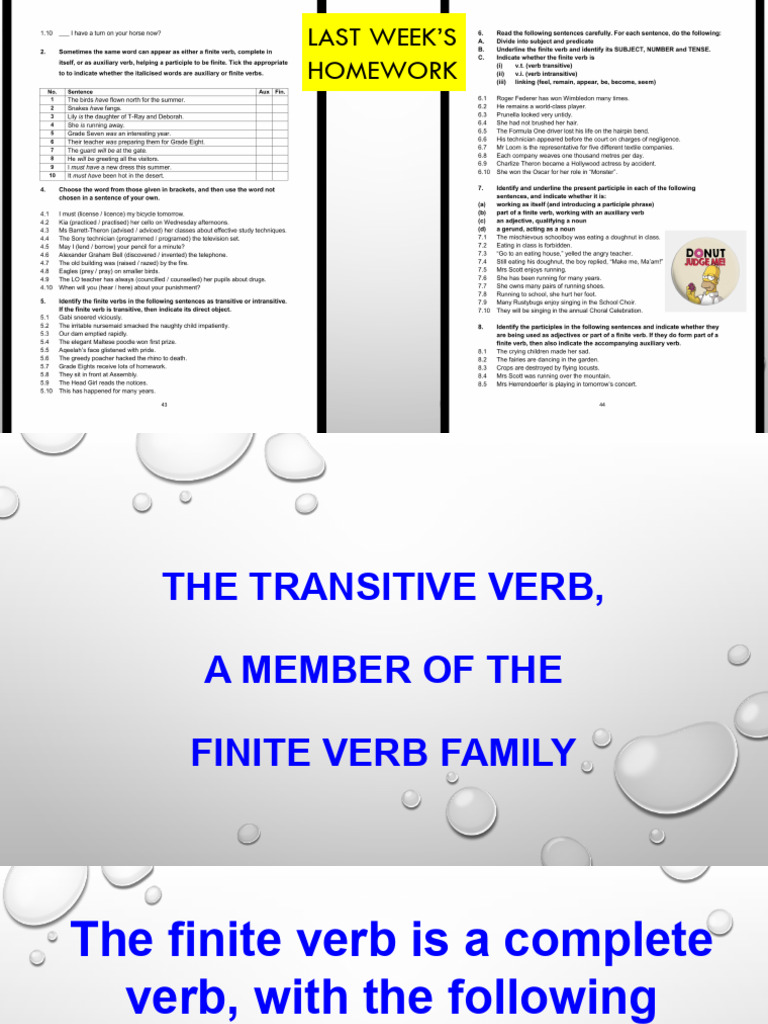 Transitive Verbs For Grade 8 | PDF