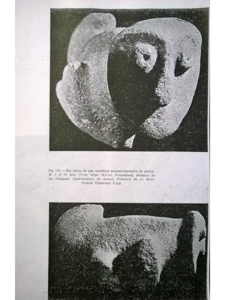 Rex-Gonzalez-Arte-Precolombinon-a-Su-Historia-Cultural-Copia 238 | PDF