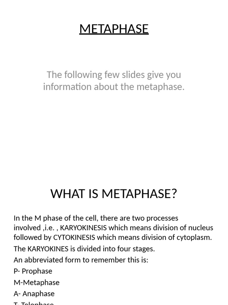 METAPHASE | PDF