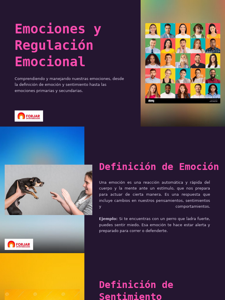 Emociones Y Regulacion Emocional Pdf