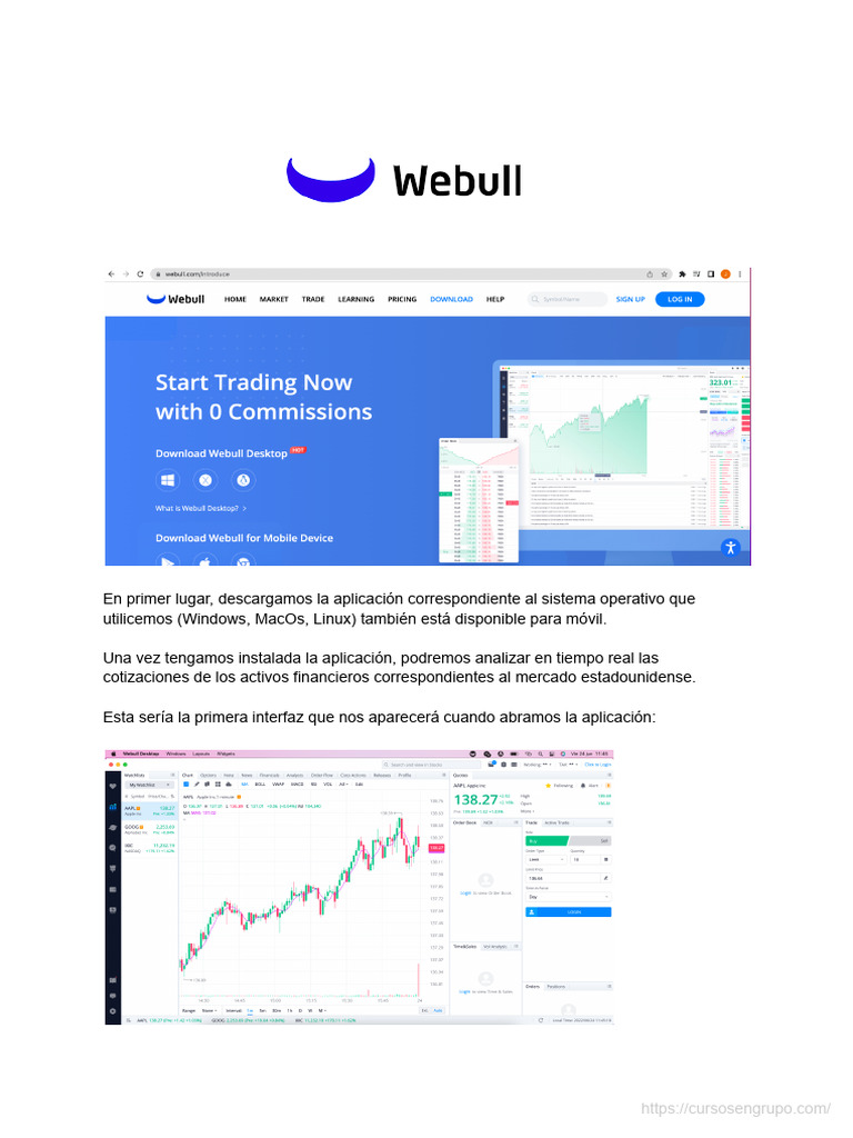 WEBULL | PDF