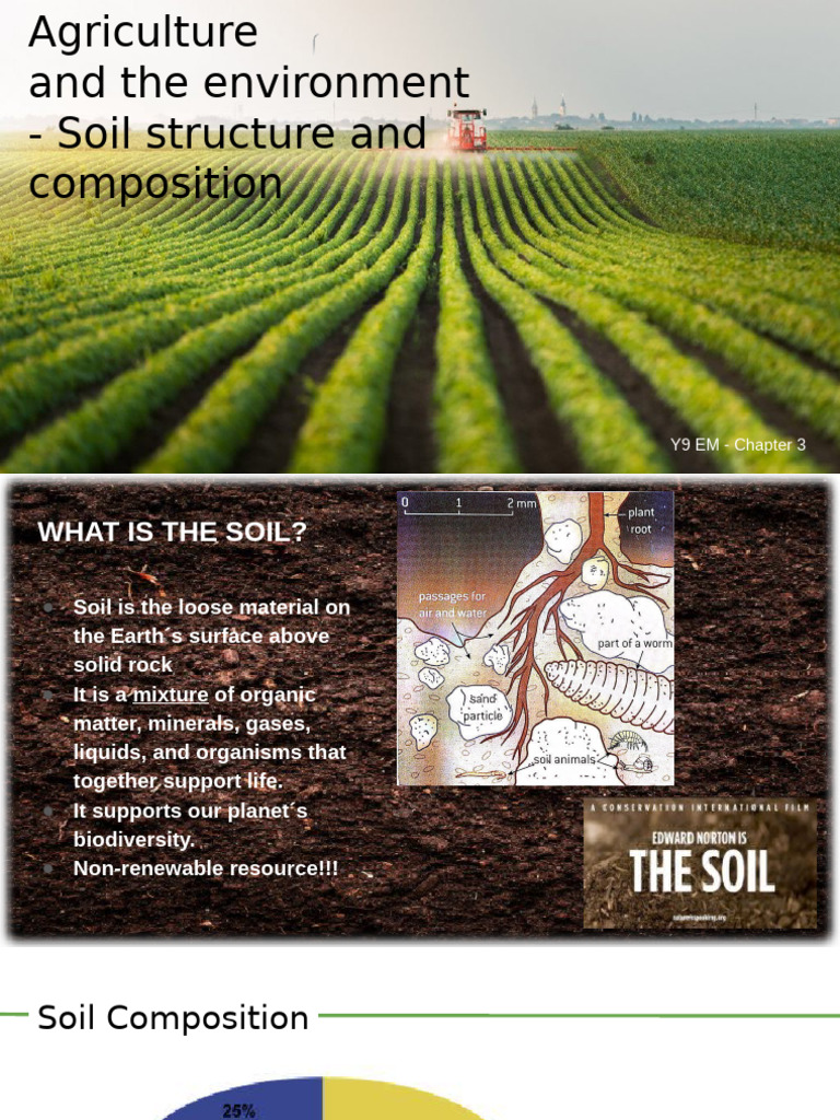 Soil Composition | PDF