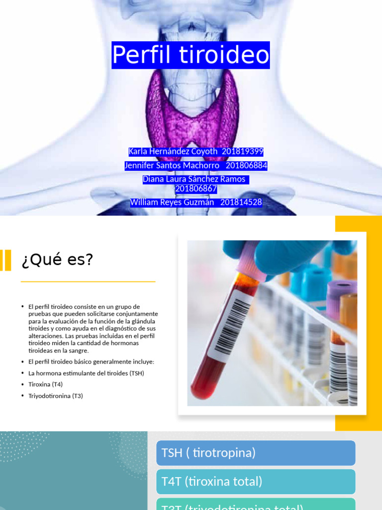 Guía Completa Del Perfil Tiroideo Pdf Hormona Estimulante De La