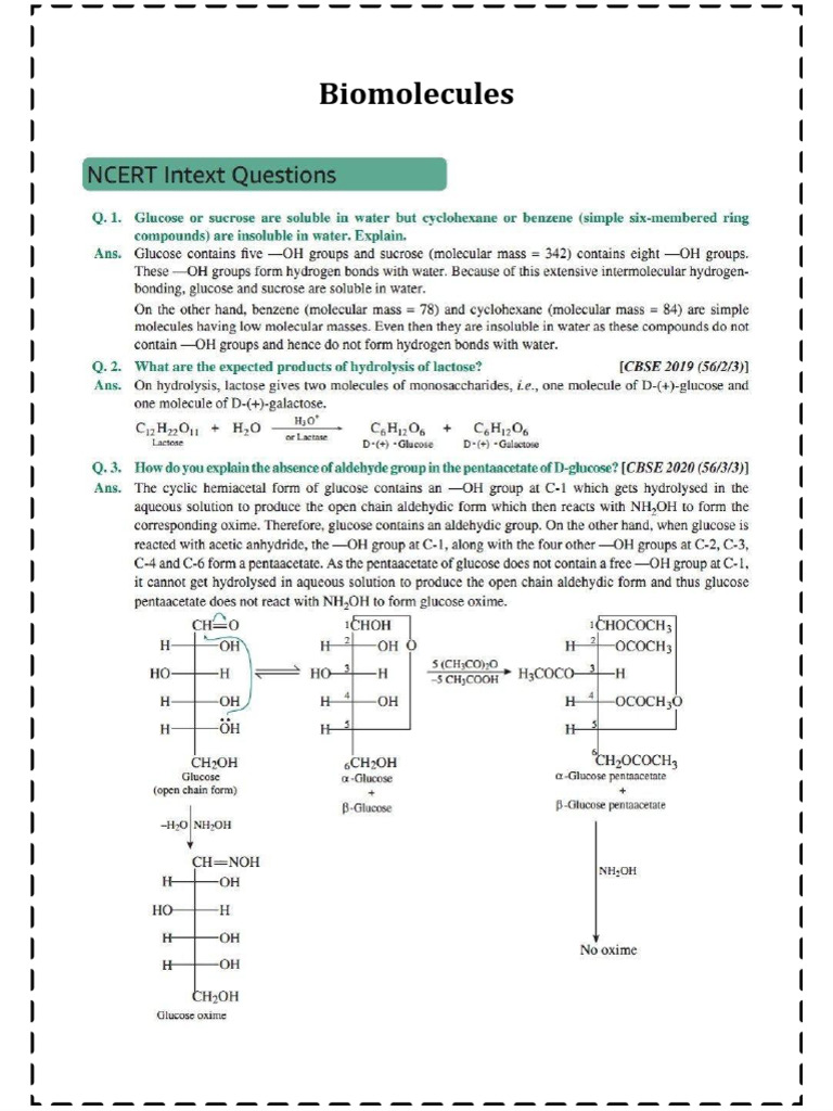 Biomolecules Question Bank | PDF