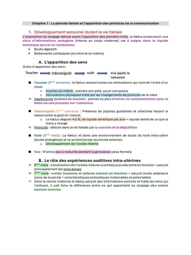 UE152 - SyntheÌ Se Origine Du Langage | PDF