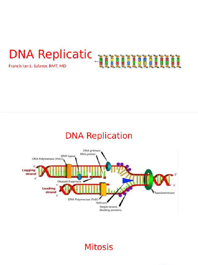 Dna Replication | PDF