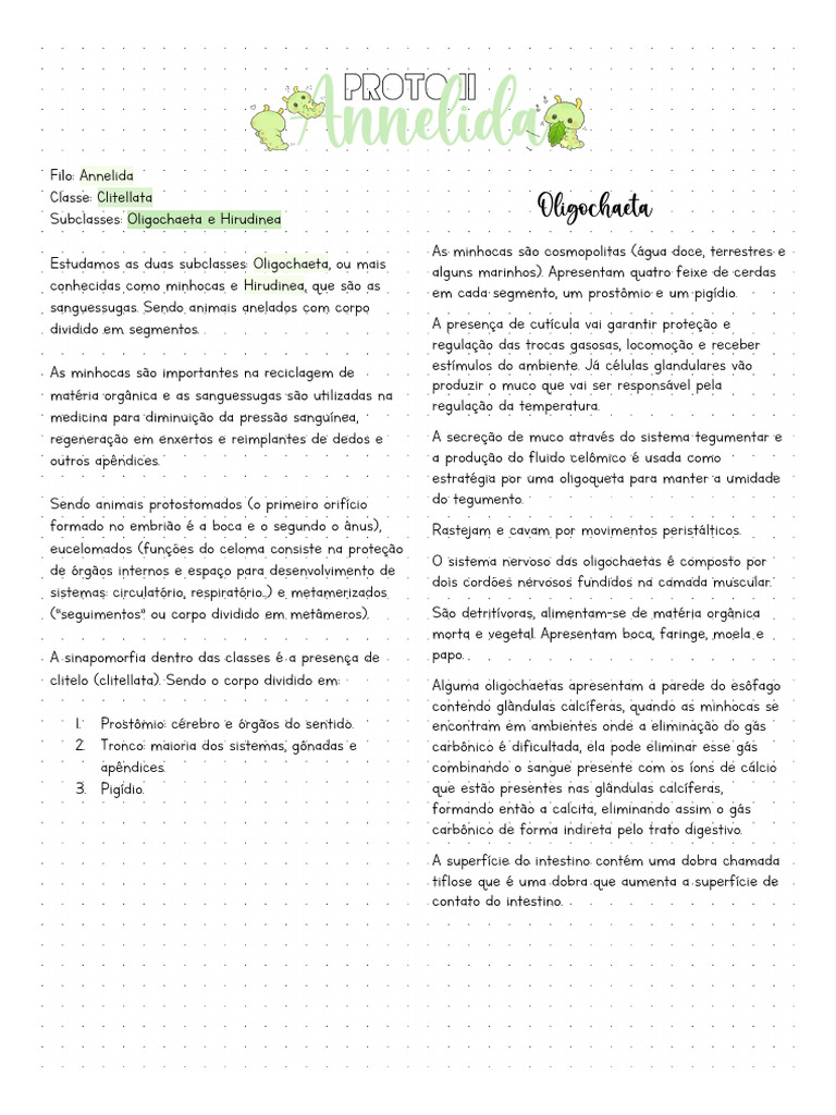 PROTO II ANNELIDA - Prova Do Roberto | PDF