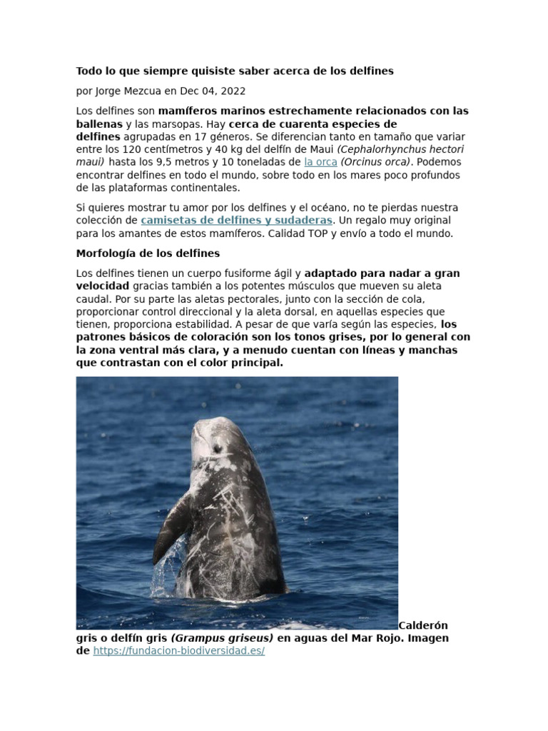 Delfines: Características y Comportamiento | PDF | Cetáceos