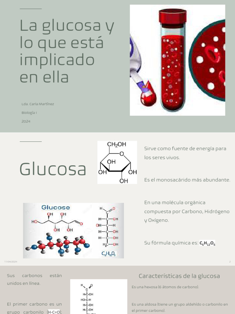 Glucosa: Energía y Salud | PDF | Digestión | Salud y bienestar