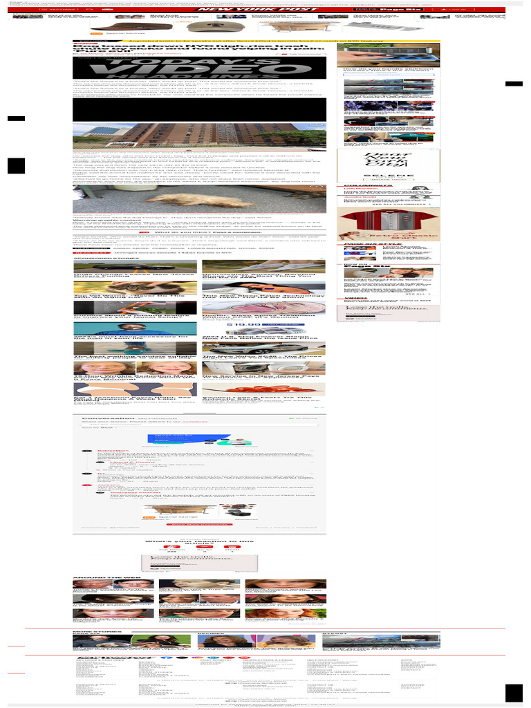 Dog Tossed Down NYC High-Rise Trash Chute by Sicko and Found Yelping ...